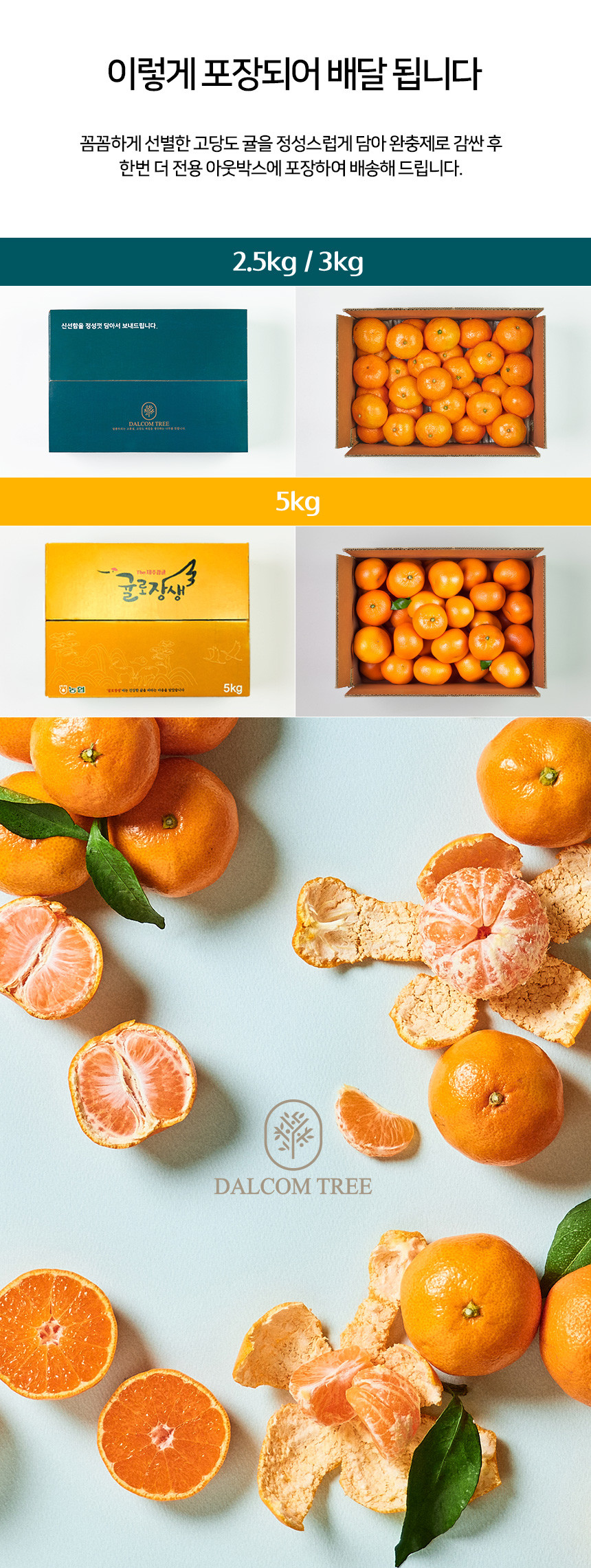 달콤트리 제주 감귤 당도선별감귤 2.5kg/3kg/5kg(로얄과,소과) - CJ프레시마켓