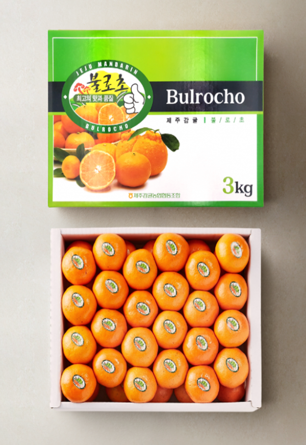 [1/22 순차출고] 제주 불로초감귤 세트 3Kg - CJ프레시마켓