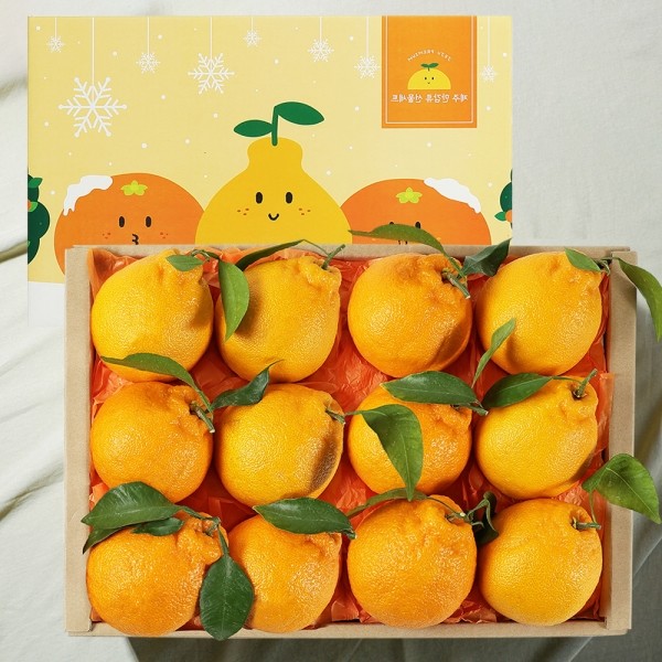 한라봉 3kg 8-13과 - CJ프레시마켓