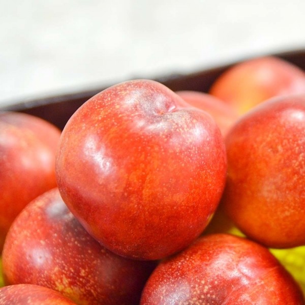 GAP 저탄소 천도 복숭아 골드 1kg/2kg - CJ프레시마켓