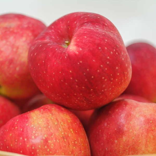 GAP 저탄소 홍로 사과 1kg/2kg - CJ프레시마켓