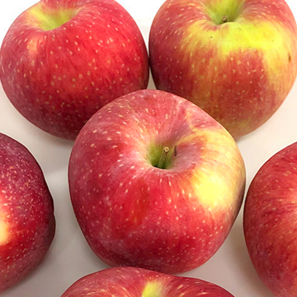 GAP 저탄소 홍로 사과 1kg/2kg - CJ프레시마켓