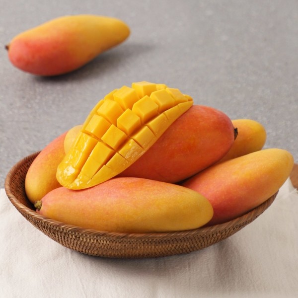 [후레쉬망고] 태국 무지개망고 마하차녹 5~6과 (개당 270g이상) - CJ프레시마켓